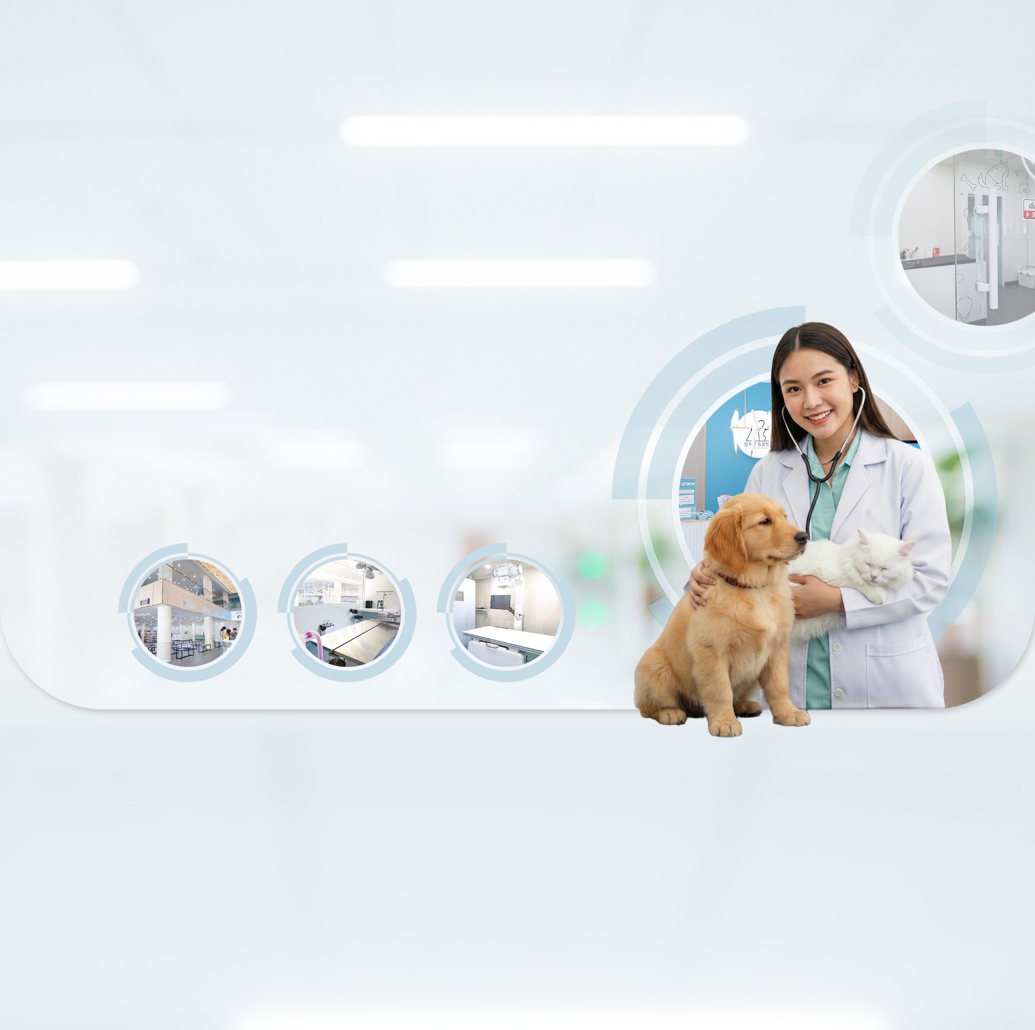 Our Veterinarians | Happy Pet Hospital | Happy Pet Hospital